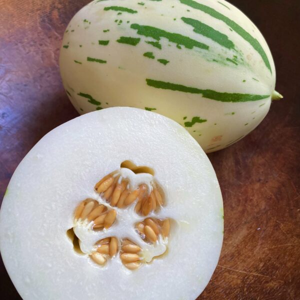 Shop – Box of Good